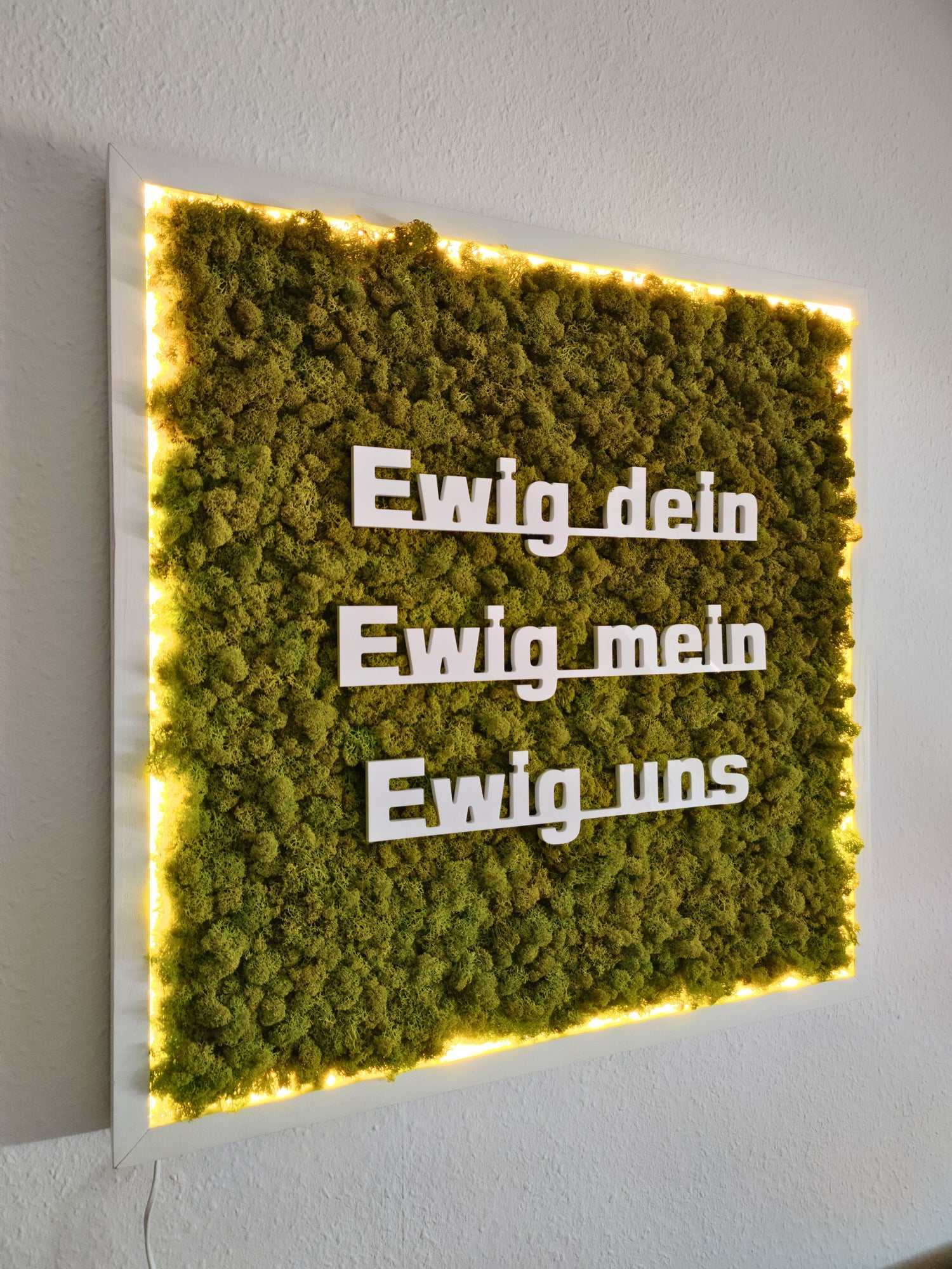Moos & Kunst I Moosbilder mit Beleuchtung