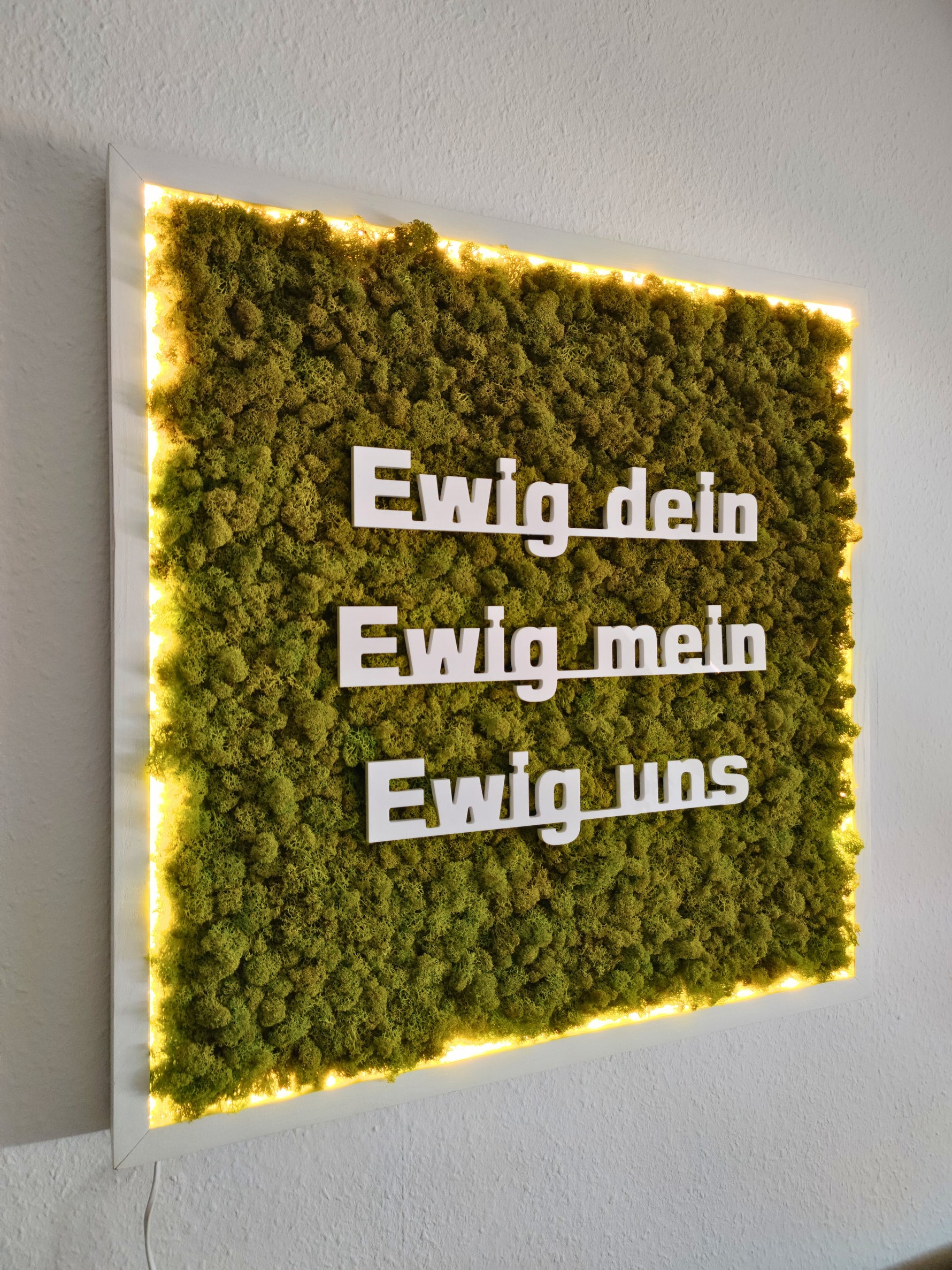 Moos & Kunst I Moosbilder mit Beleuchtung