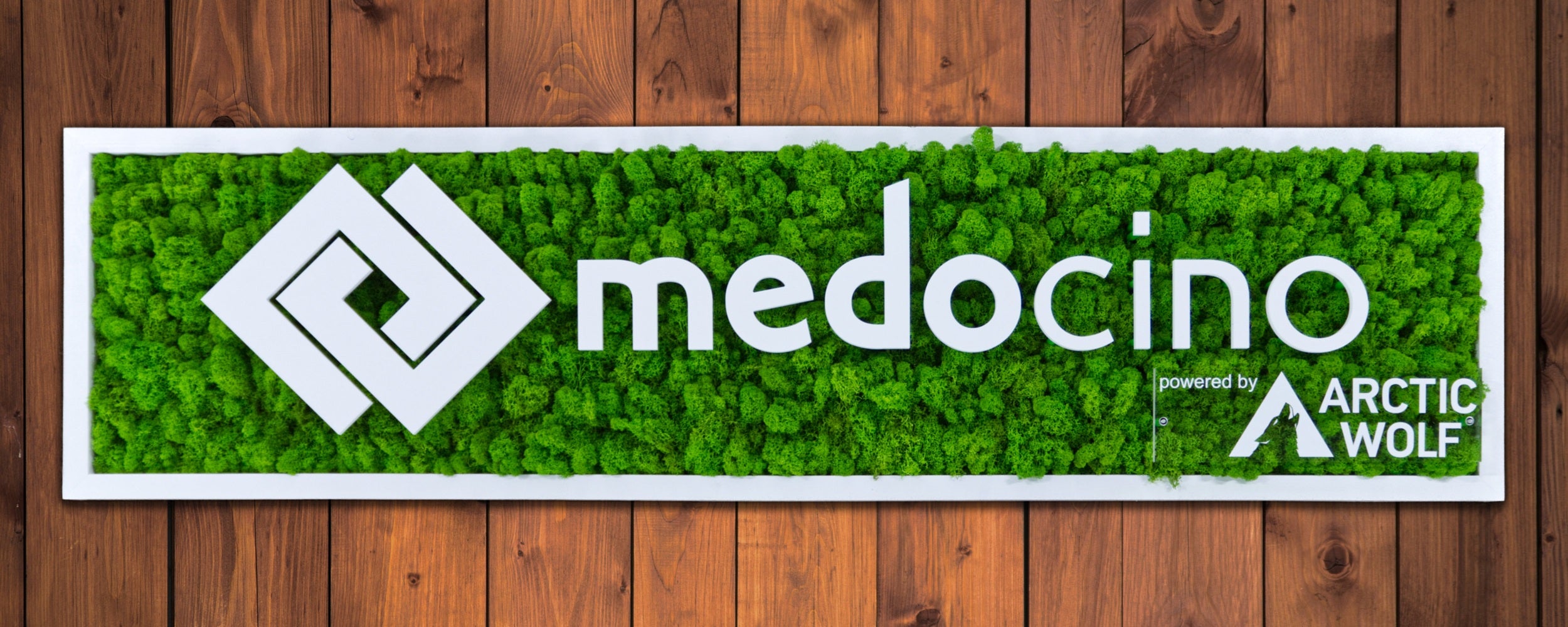 Moos & Kunst I Moosbilder mit Beleuchtung